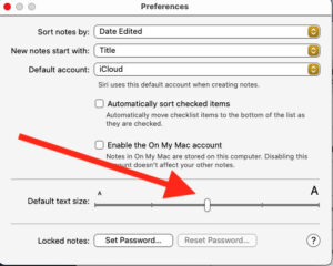 How to Increase/Decrease Text Size in Apple Notes - TechSnivel